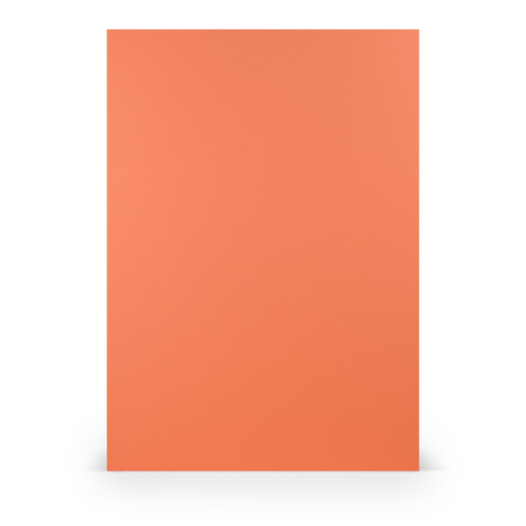 Rössler Paperado Karton A4 Coral, 5 Stück
